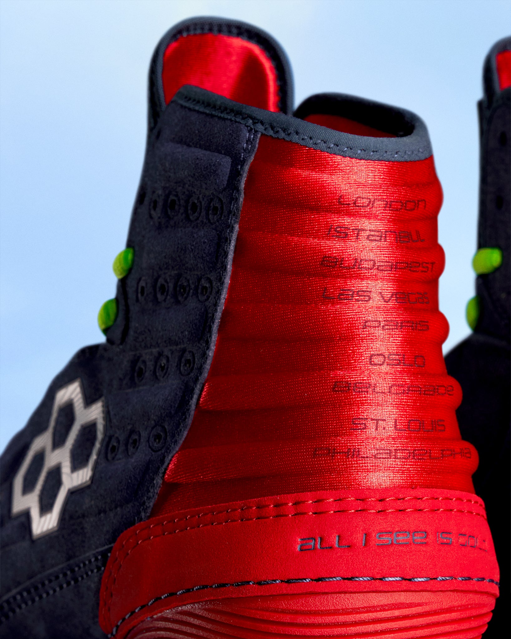 RUDIS JB Ultra Adult Wrestling Shoes - The Dream | RUDIS