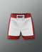 Official ROCKY Italian Stallion Training Shorts - Boxing Trunks | RUDIS