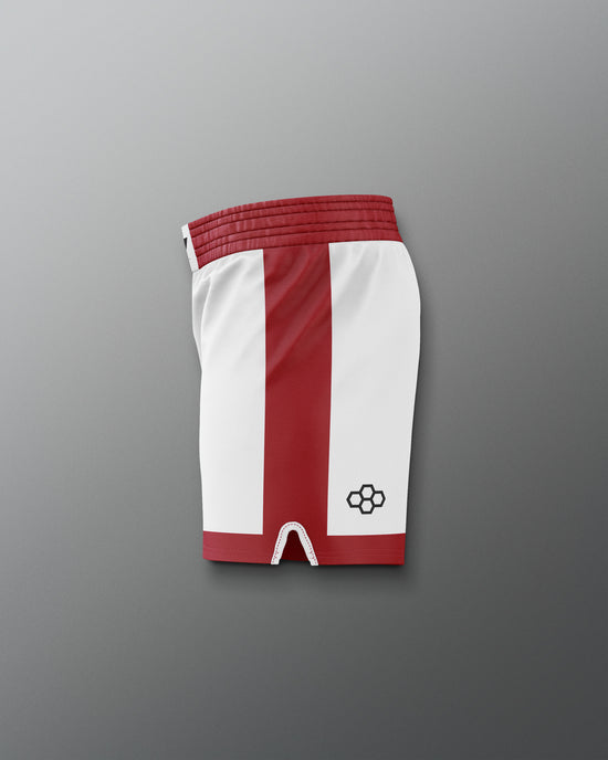 Official ROCKY Italian Stallion Training Shorts - Boxing Trunks | RUDIS