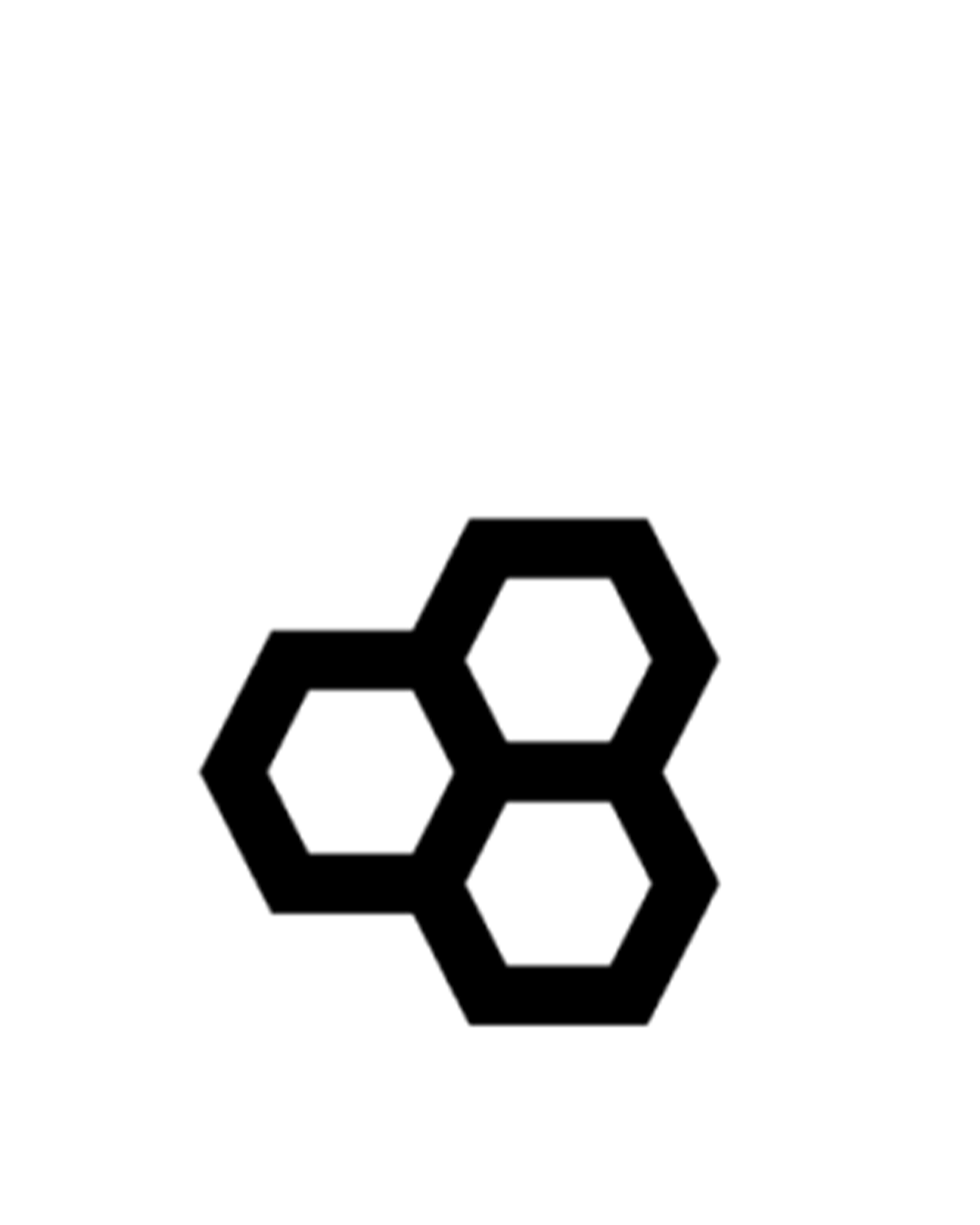 The Origin of RUDIS | The Quadhex Symbol of ALL IN Commitment | RUDIS